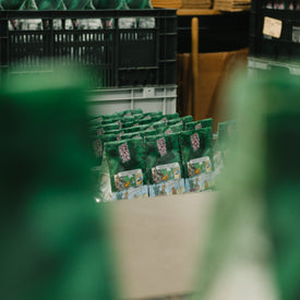 RIPSNORTER COFFEE – Ripsnorter