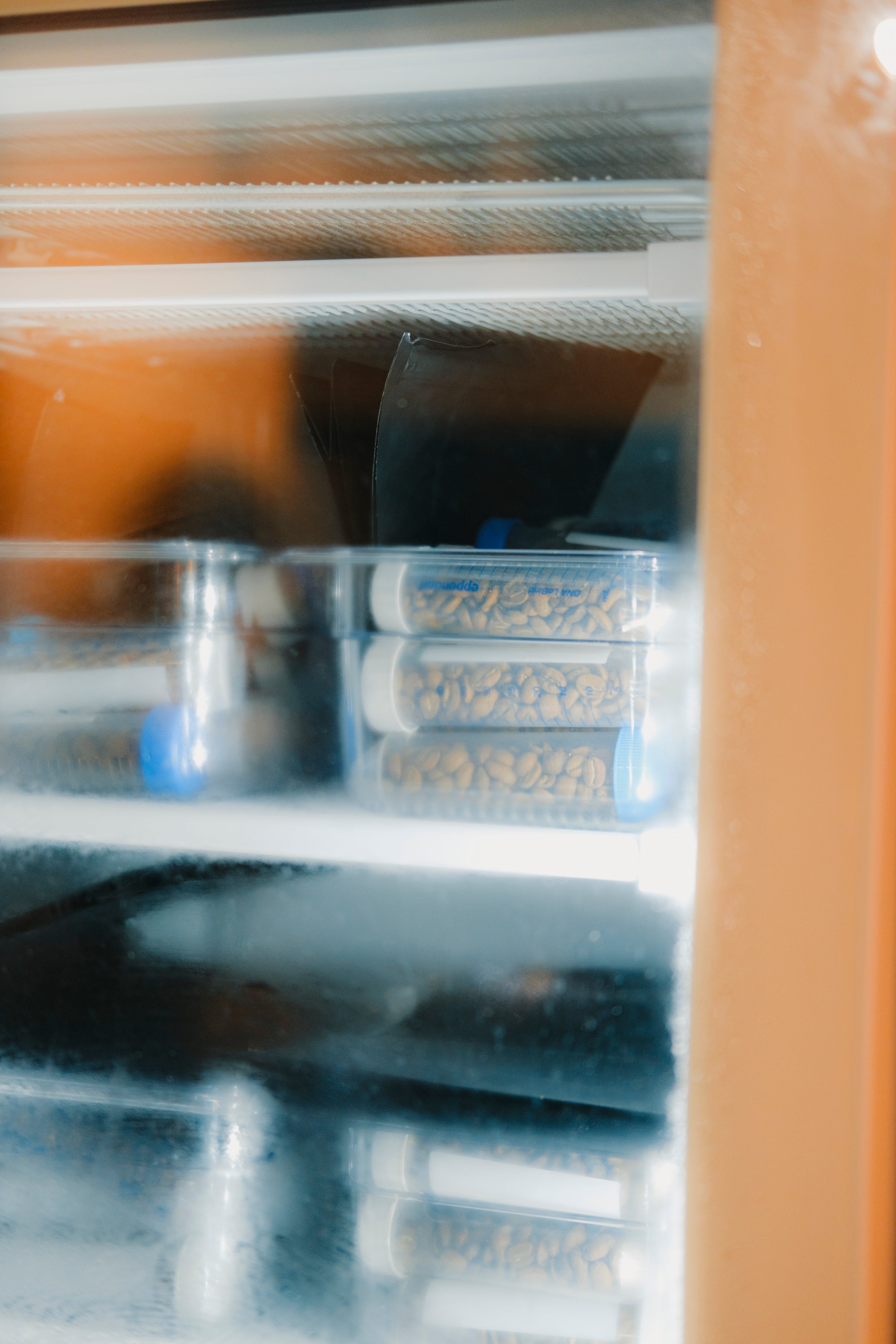 RIPSNORTER COFFEE – Ripsnorter