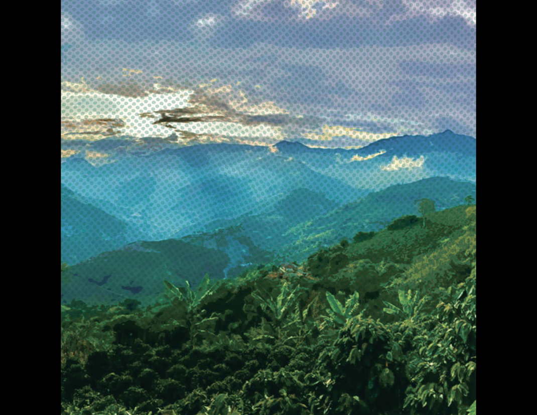 RIPSNORTER COFFEE – Ripsnorter